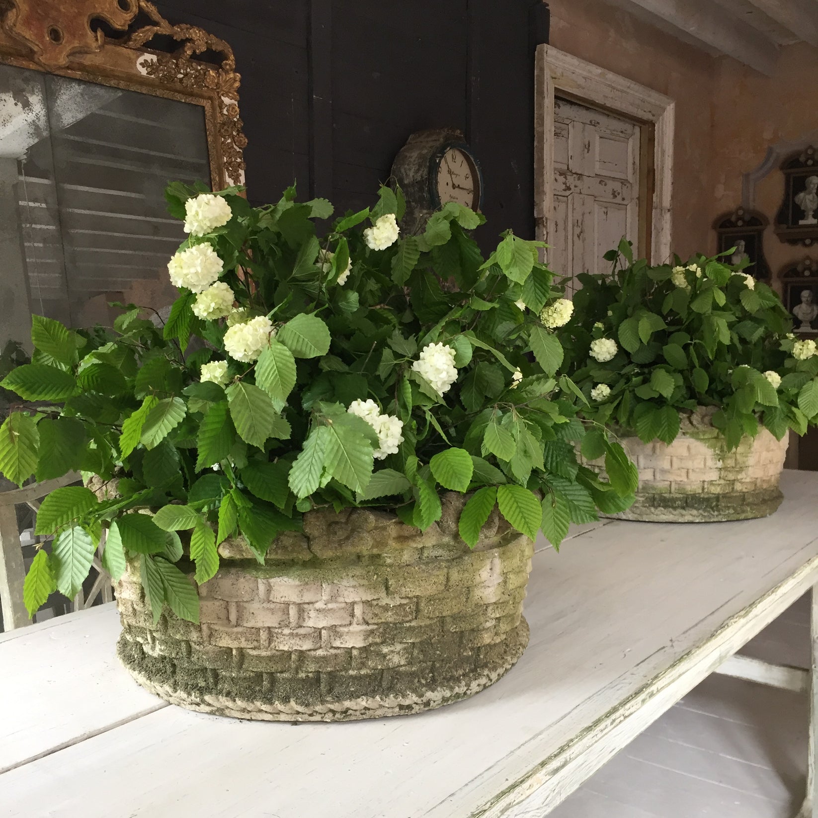 Pair Of 20th Century Planters, Buy On Line Tigers Decorative UK